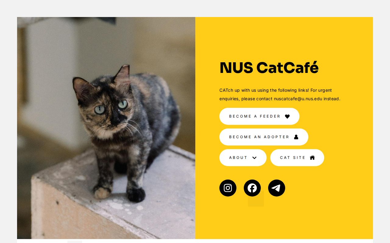 NUS CatCafé